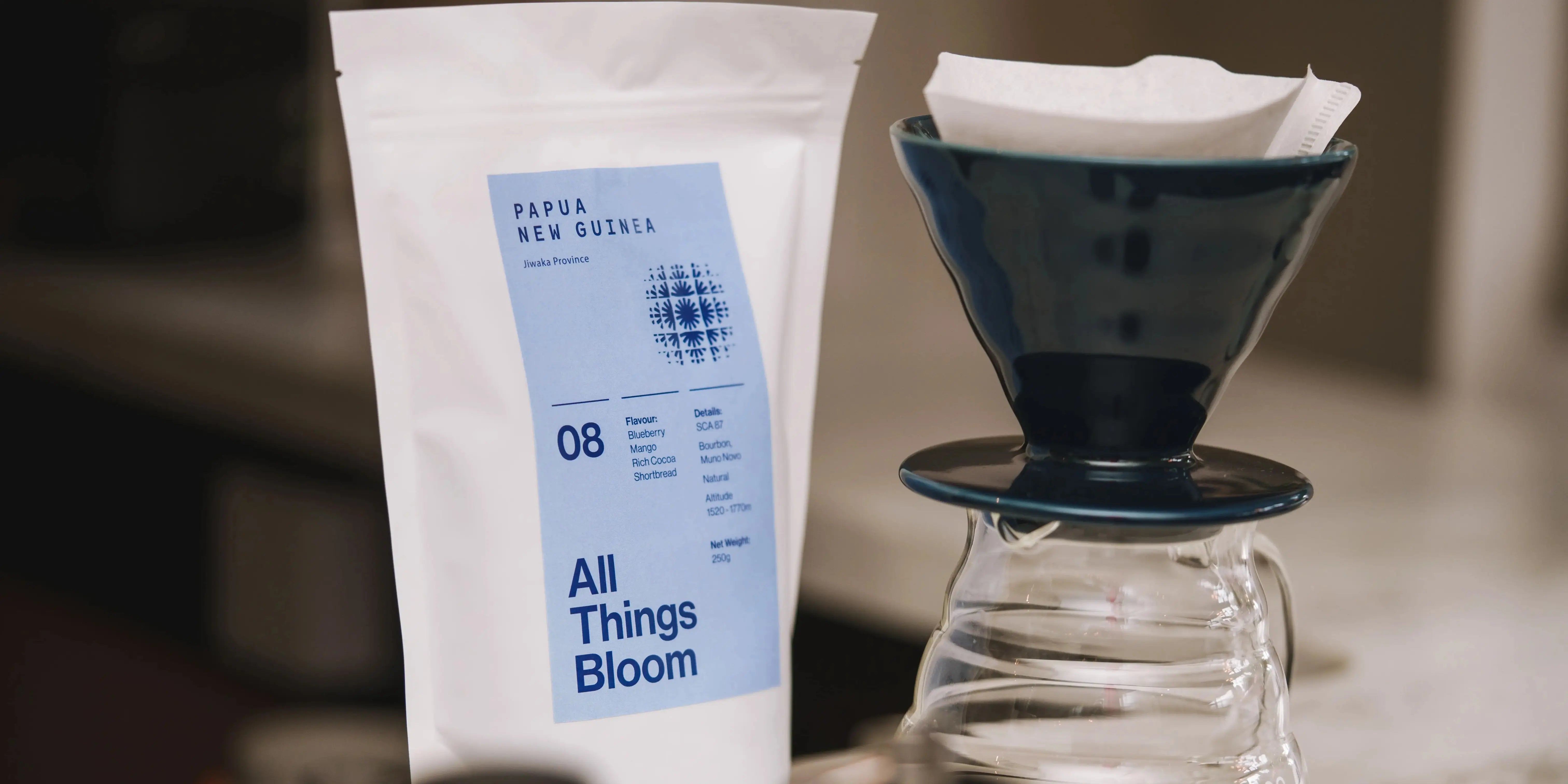 Best Coffee Beans for Filter Brewing 2025 | ATB Coffee – All Things Bloom