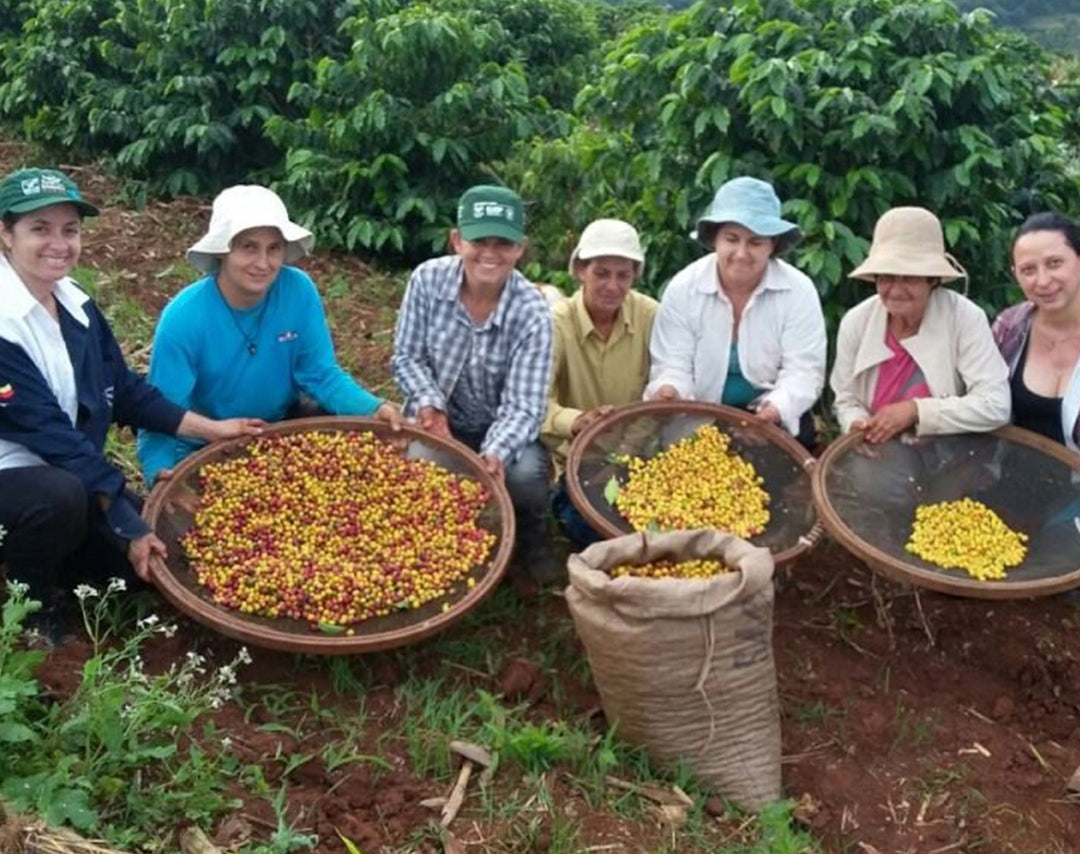 Hello, we’re All Things Bloom Coffee.