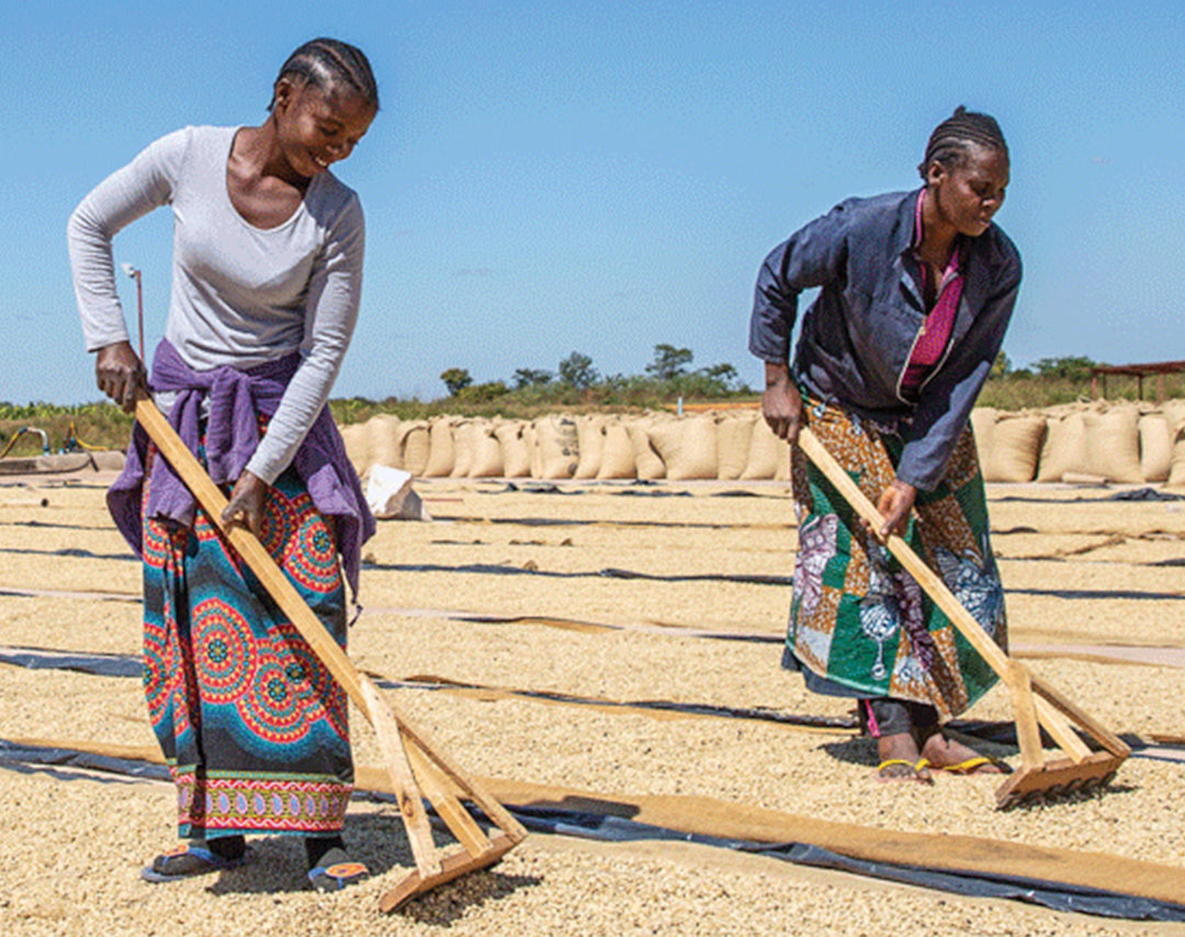 Hello, we’re All Things Bloom Coffee.