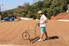 All Things Bloom Coffee