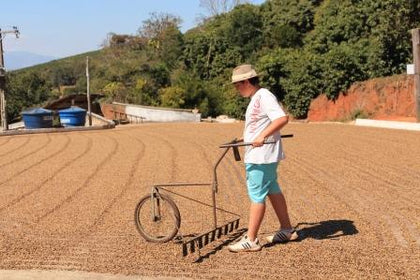 All Things Bloom Coffee